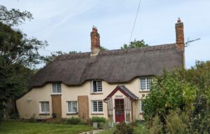 The Greenwood Tree - December 2024 - Somerset & Dorset Family History ...